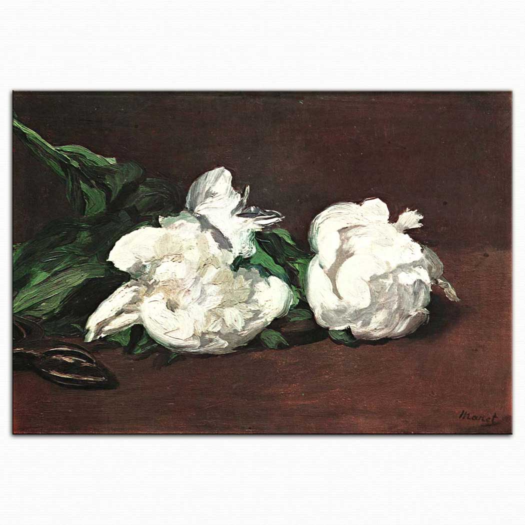 Edouard Manet Beyaz Manolyalar - İstanbul Sanat Evi