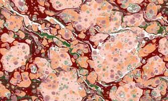 Ebru Sanatı | Yapılış, Türler ve Tarihçe - istanbul sanat evi